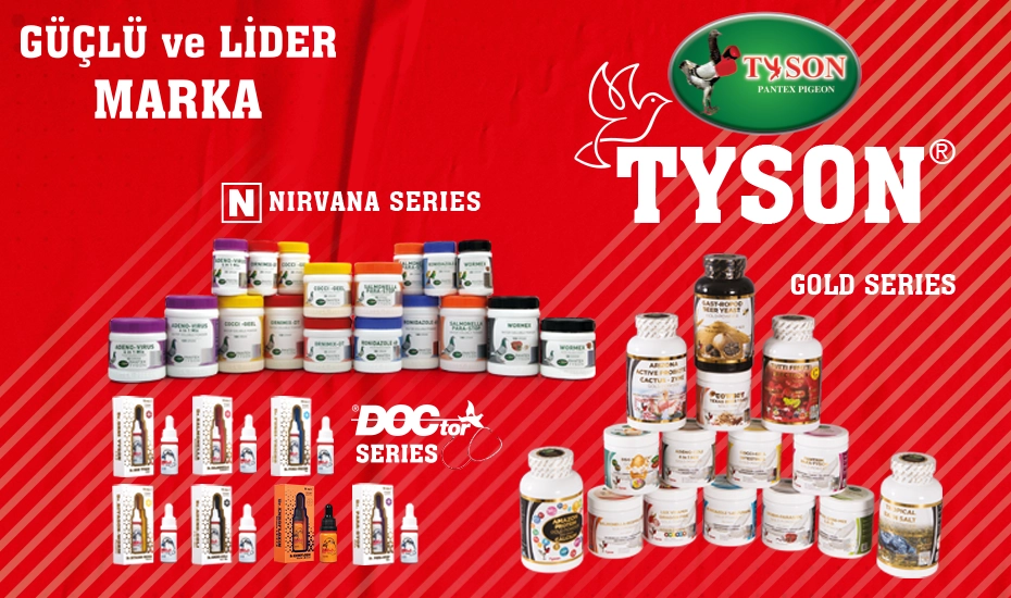 Anasayfa - Tyson
